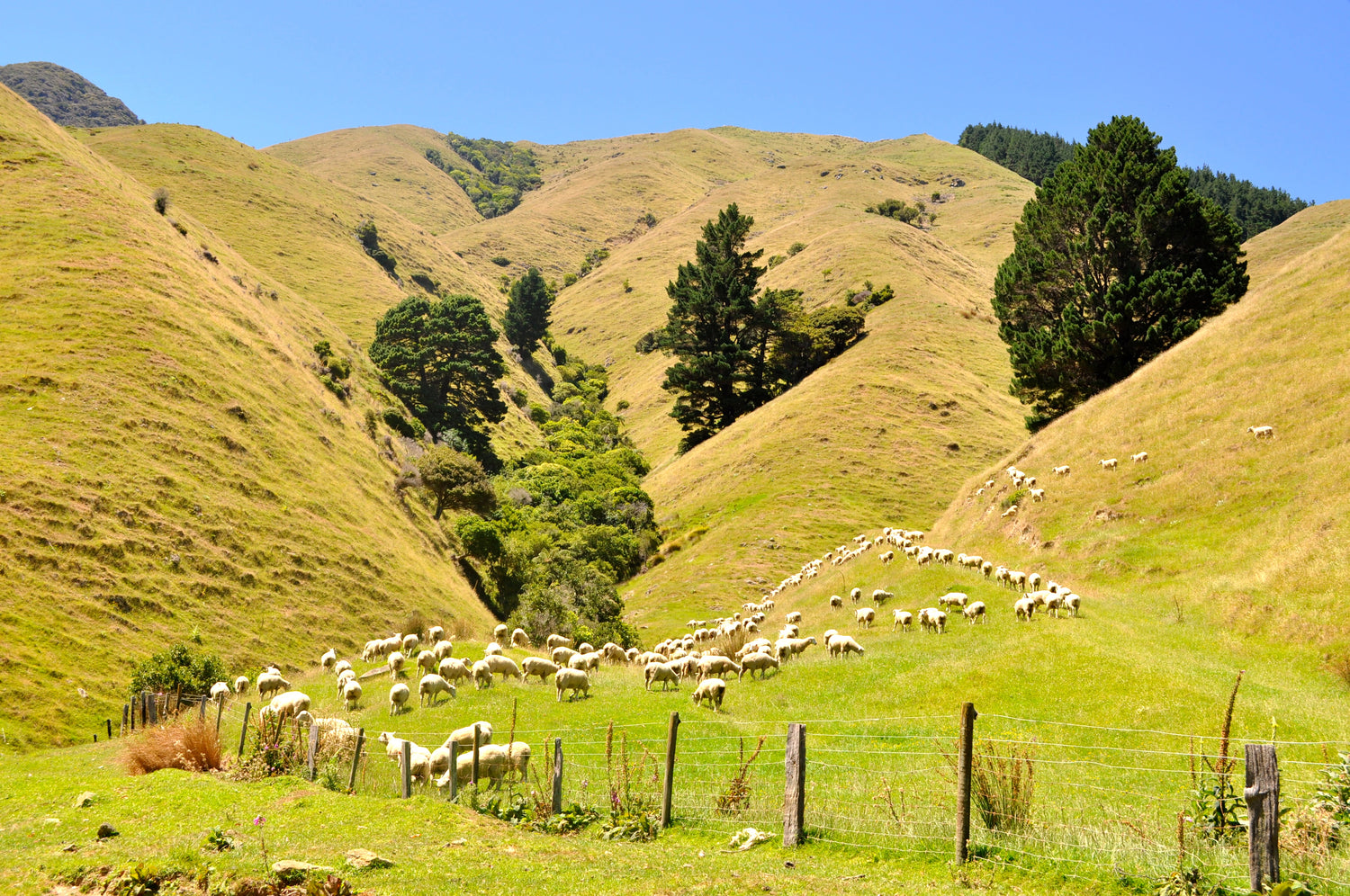 Feel Good Yarns - Ethical Origins
